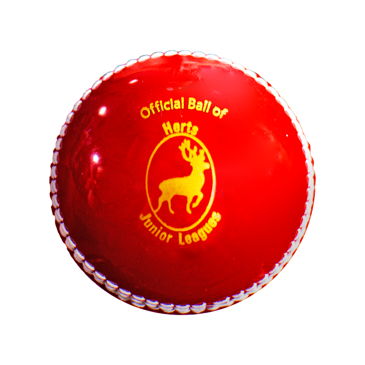 Incrediball Cricket Ball – The Sports FCTRY.